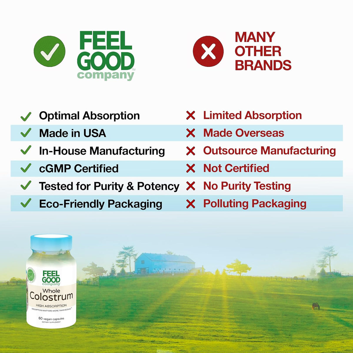 whole food multivitamin for better absorption