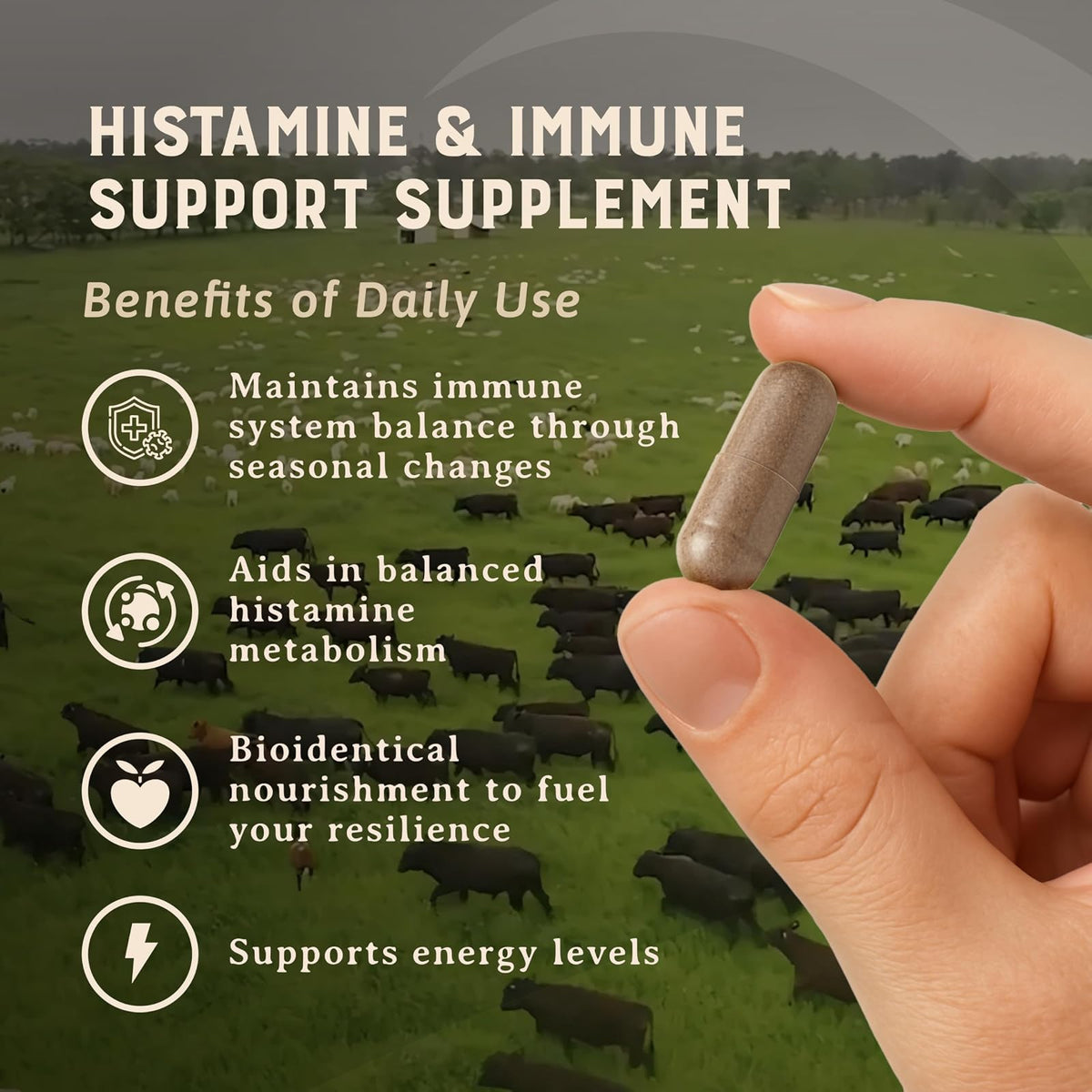 whole food multivitamin for better health