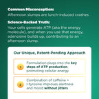 whole food multivitamin for better health