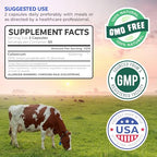 whole food multivitamin for better health