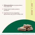 whole food multivitamin for better health