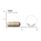 whole food multivitamin for better nutrition
