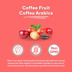 whole food multivitamin for better nutrition