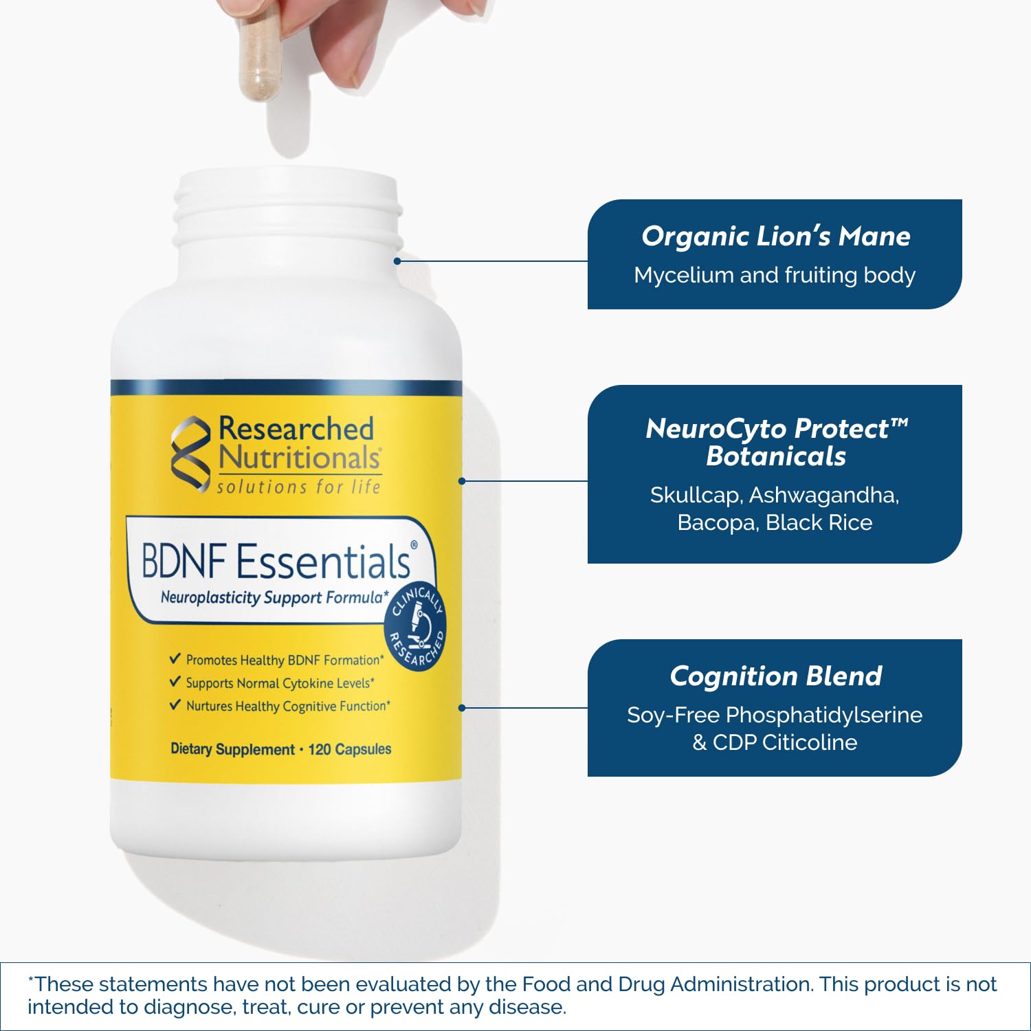 whole food multivitamin for brain function
