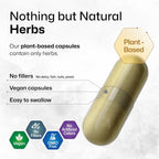 whole food multivitamin for brain function