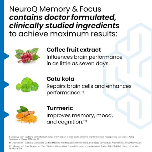 whole food multivitamin for brain health