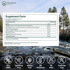 whole food multivitamin for brain health
