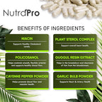 whole food multivitamin for cholesterol