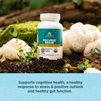 Whole food multivitamin for cognitive support