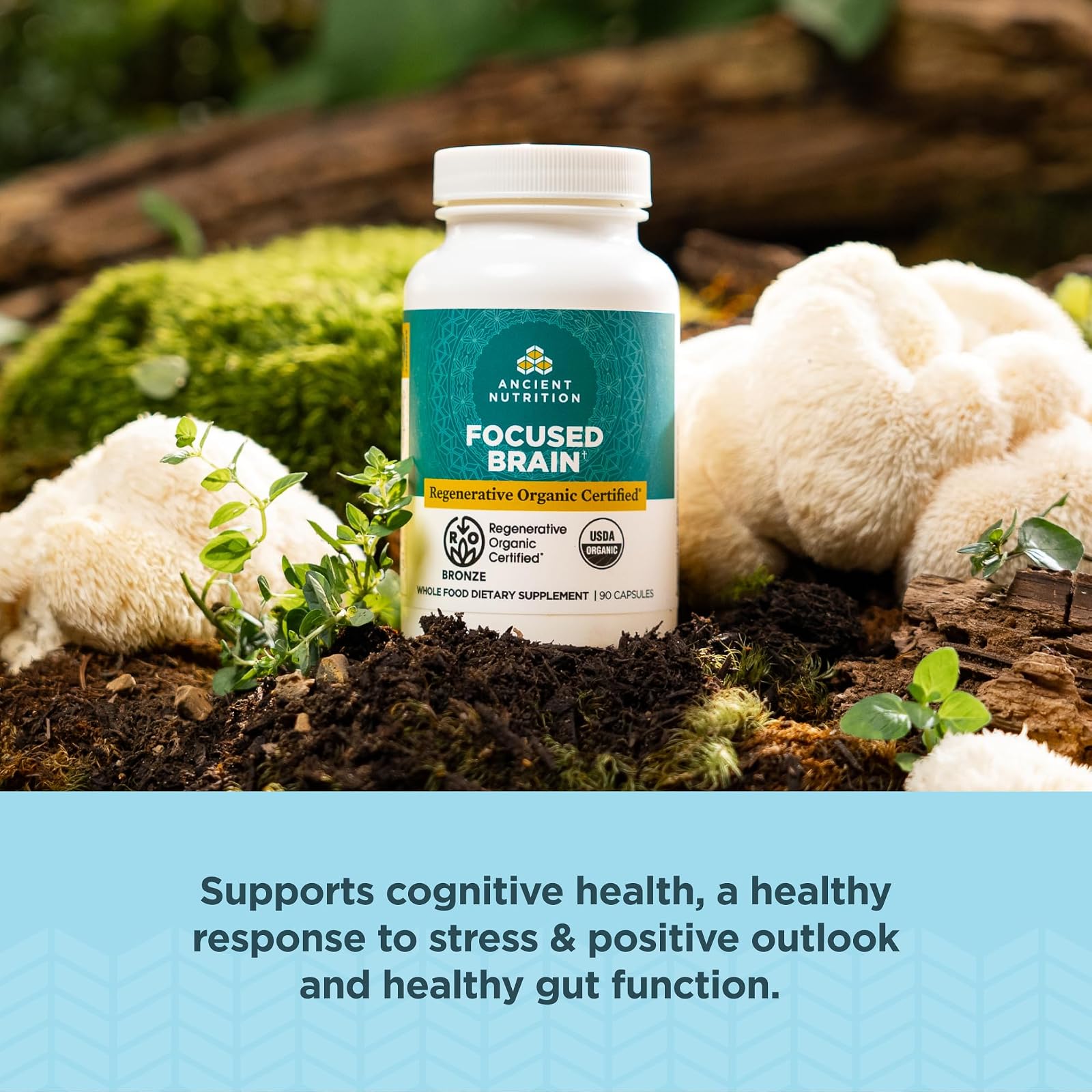 Whole food multivitamin for cognitive support