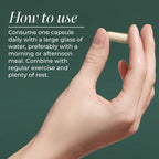 whole food multivitamin for daily energy