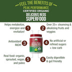 whole food multivitamin for daily energy