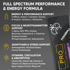 whole food multivitamin for daily energy