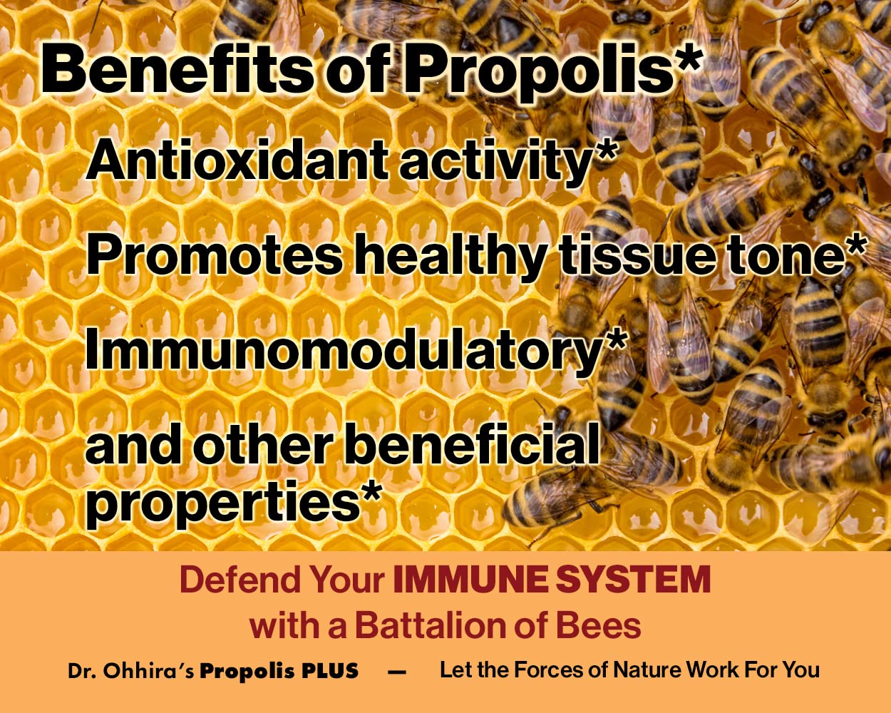 whole food multivitamin for daily energy