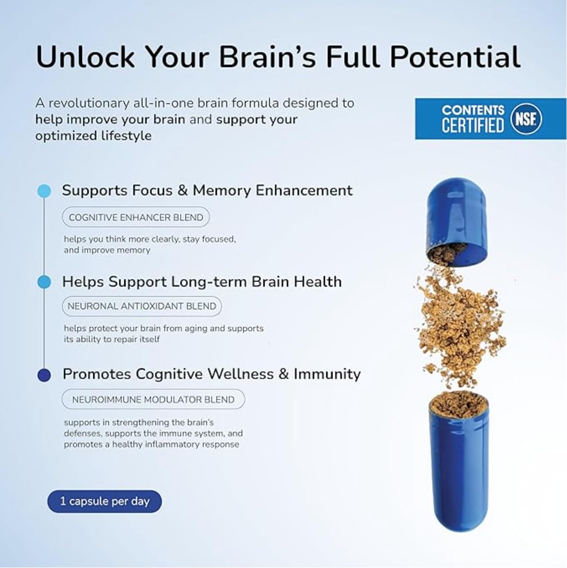 whole food multivitamin for daily energy