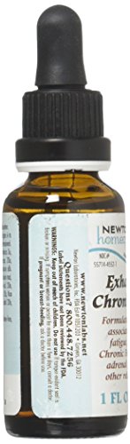 whole food multivitamin for daily energy