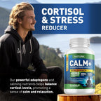 whole food multivitamin for daily energy
