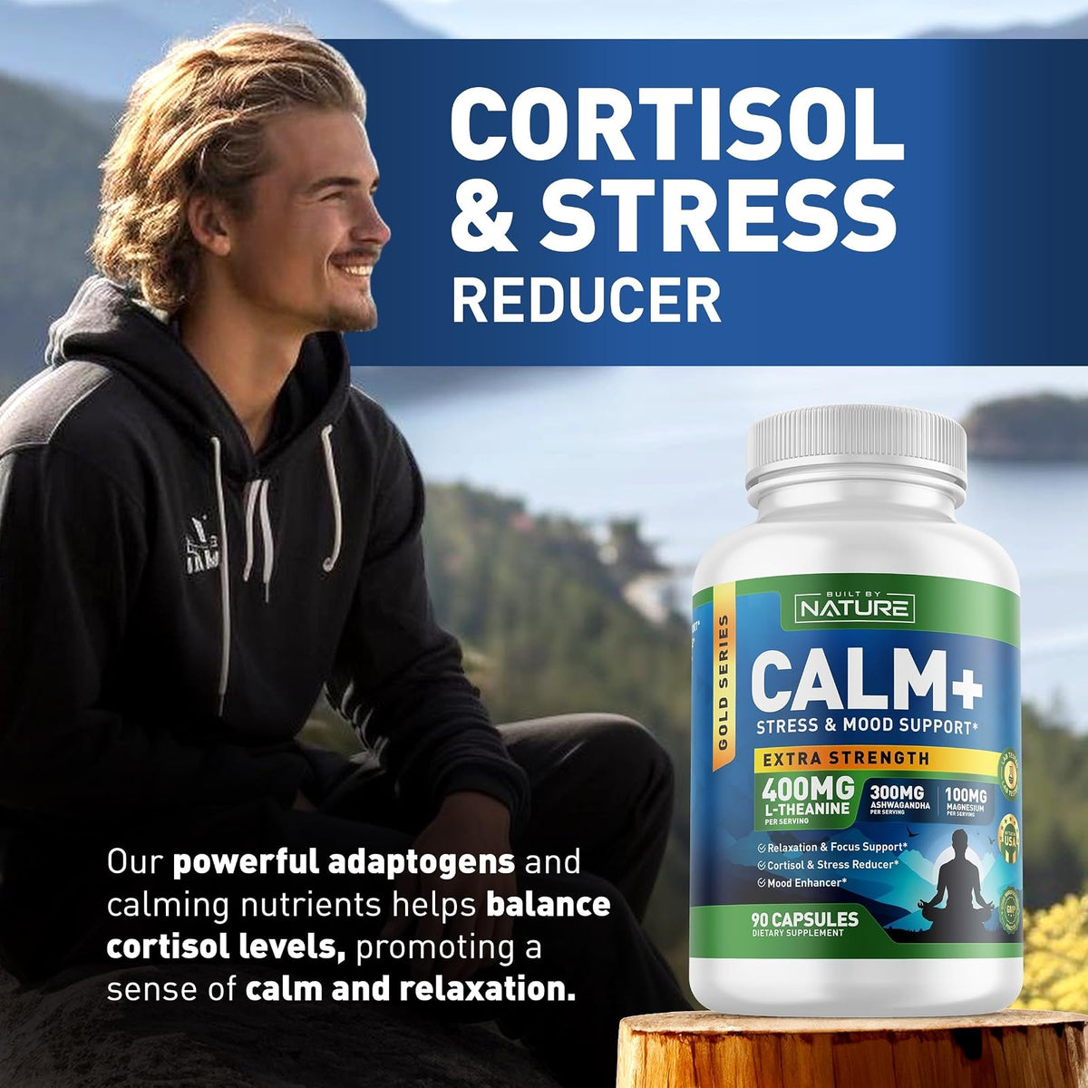 whole food multivitamin for daily energy