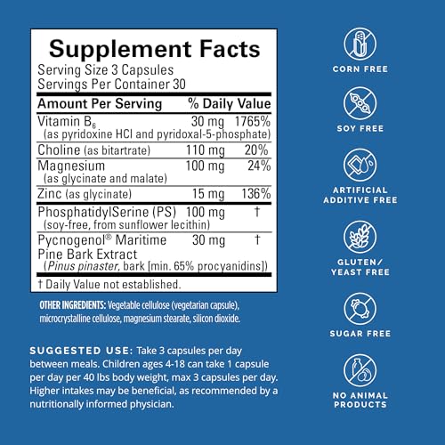whole food multivitamin for daily energy