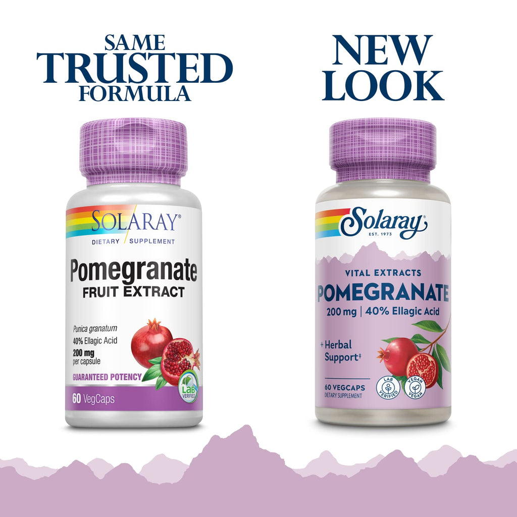 whole food multivitamin for daily health