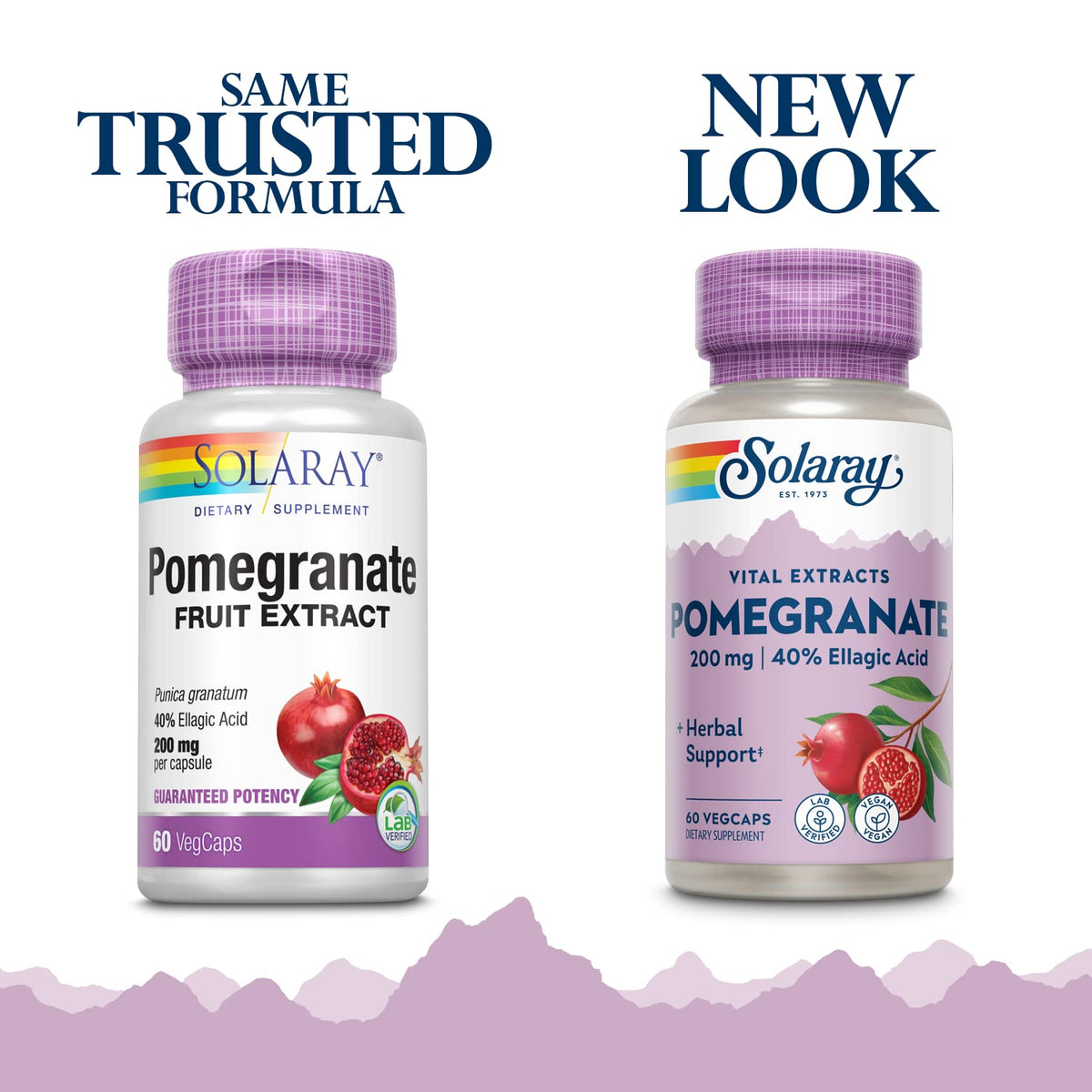 whole food multivitamin for daily health