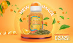 Whole food multivitamin for daily health