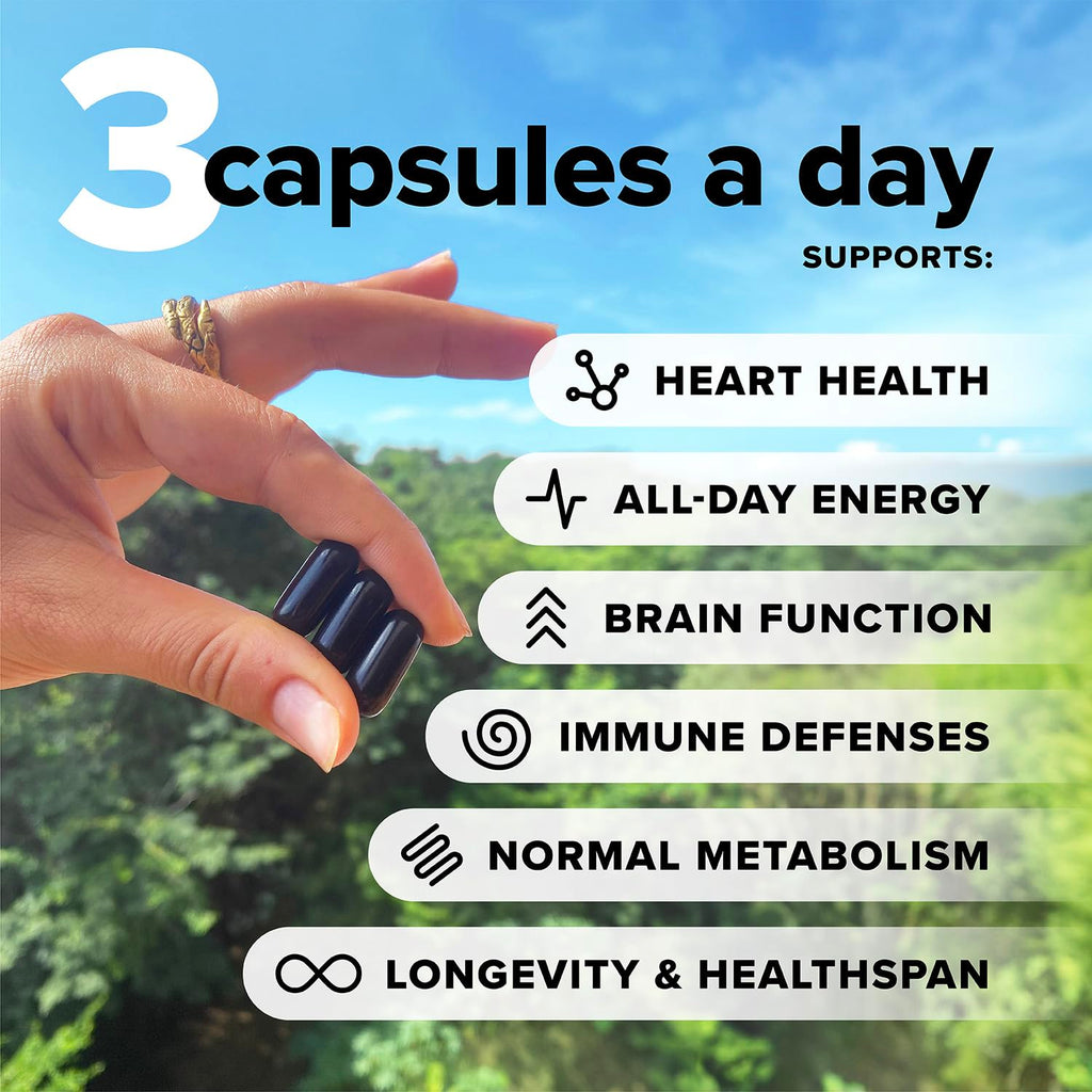 whole food multivitamin for daily health
