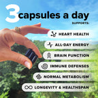 whole food multivitamin for daily health