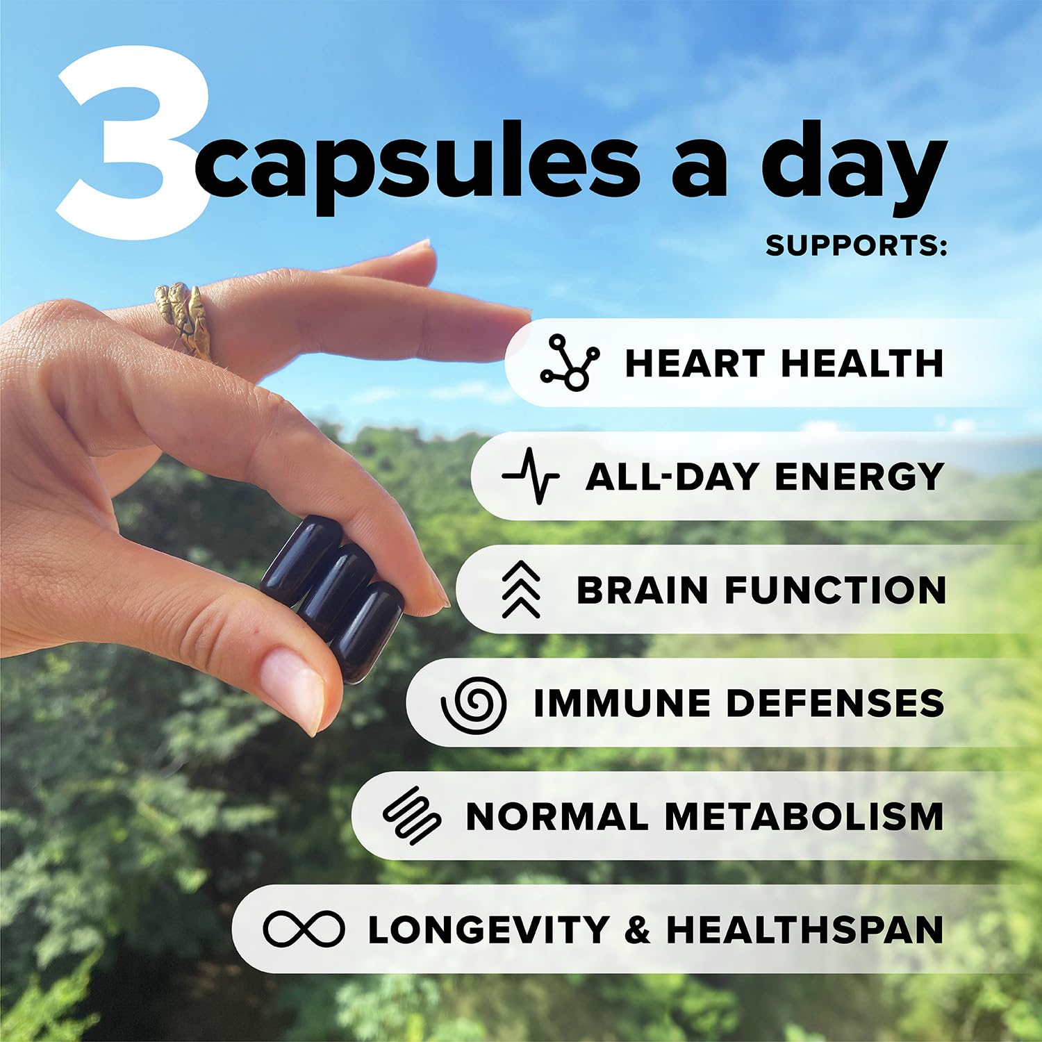 whole food multivitamin for daily health