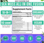 whole food multivitamin for daily health