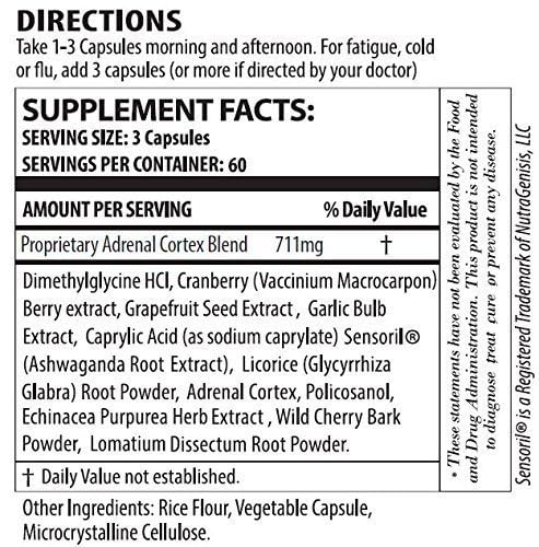 whole food multivitamin for daily health