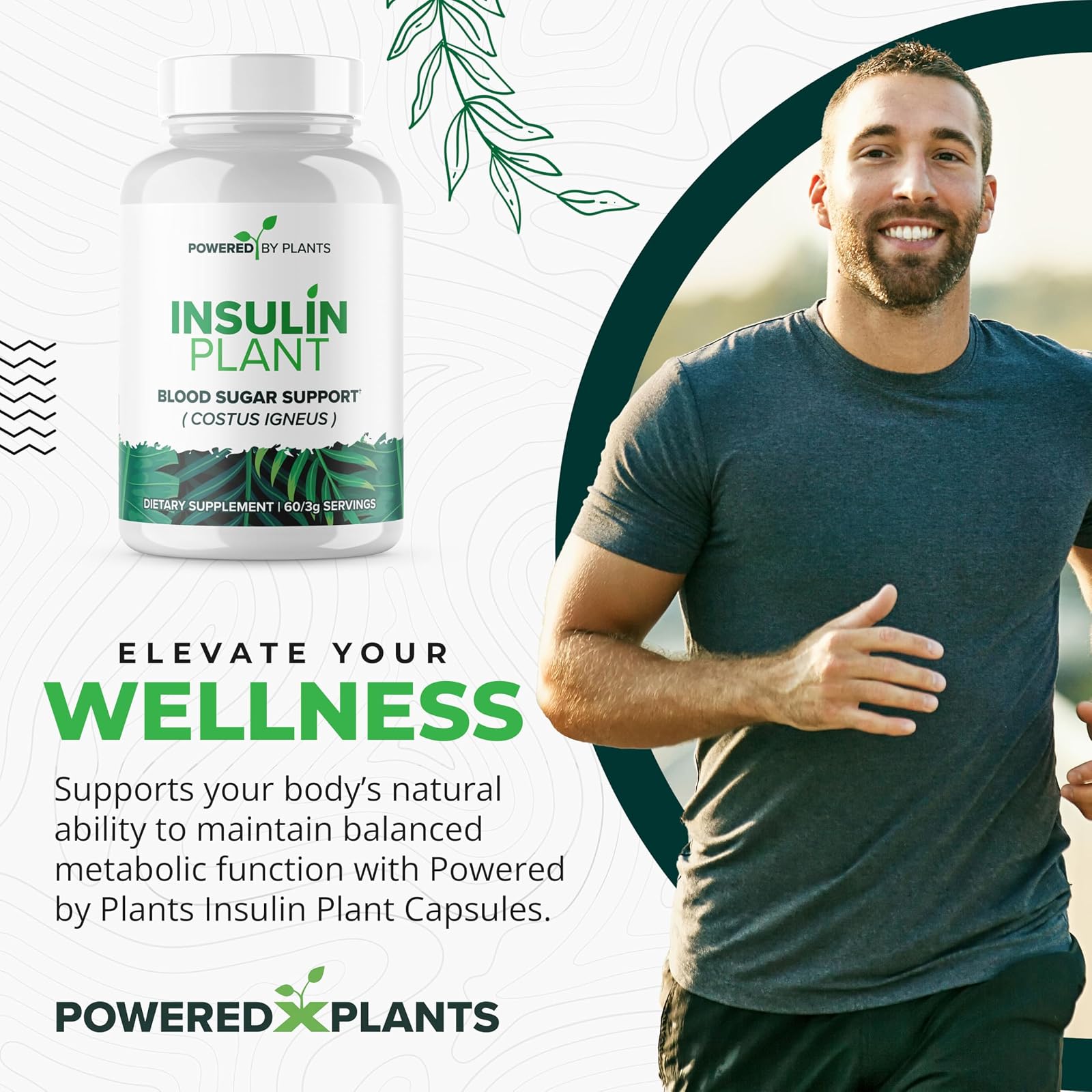 whole food multivitamin for daily health