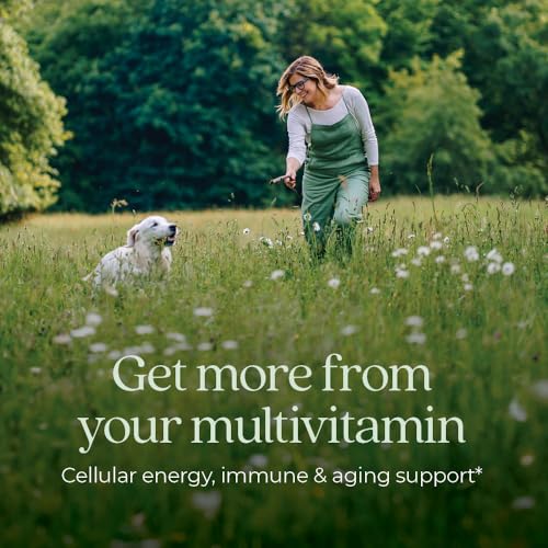 whole food multivitamin for daily health