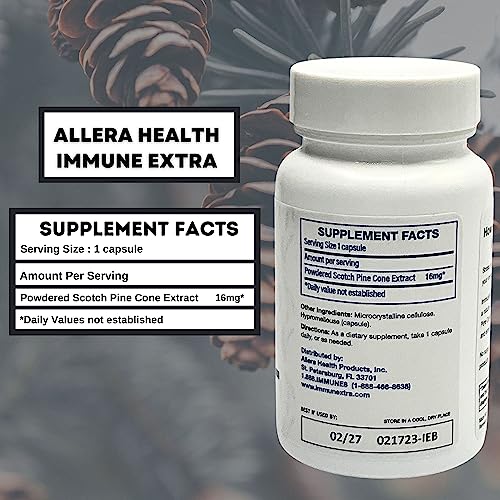 whole food multivitamin for daily health