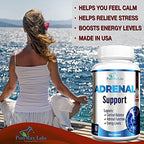 whole food multivitamin for daily health