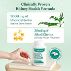 whole food multivitamin for daily health