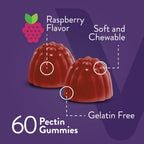 whole food multivitamin for daily health
