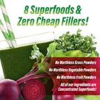 whole food multivitamin for daily health
