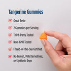 Whole food multivitamin for daily health