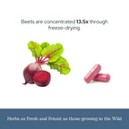 whole food multivitamin for daily health