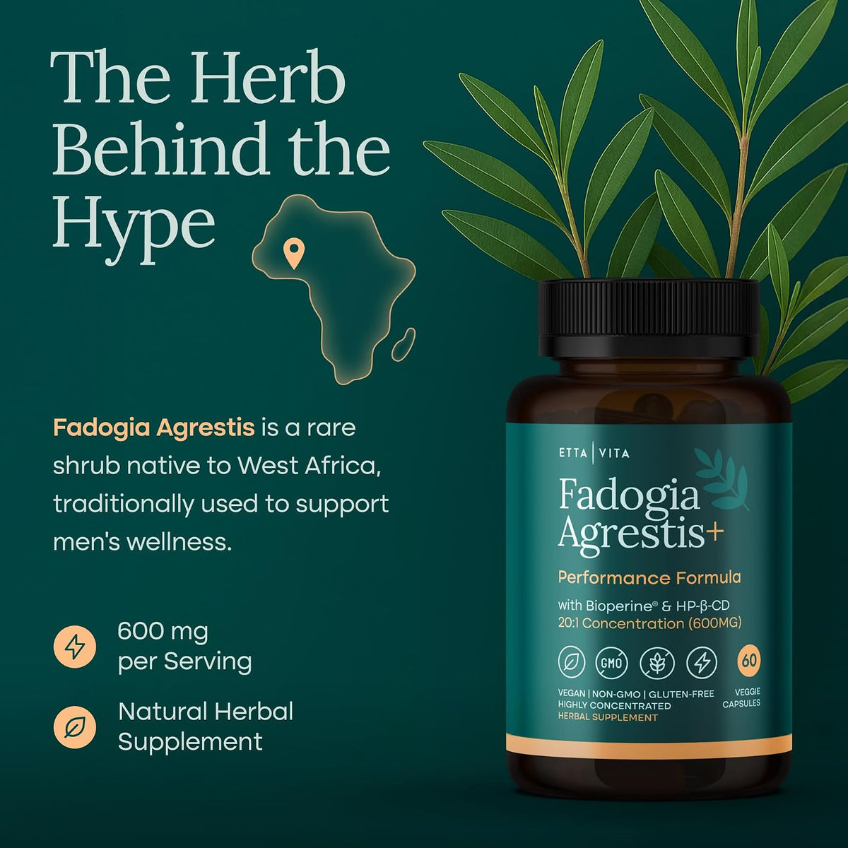 whole food multivitamin for daily health