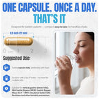 whole food multivitamin for daily health