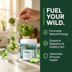 whole food multivitamin for daily health
