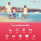 whole food multivitamin for daily health