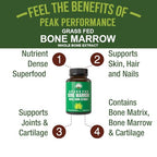 whole food multivitamin for daily health