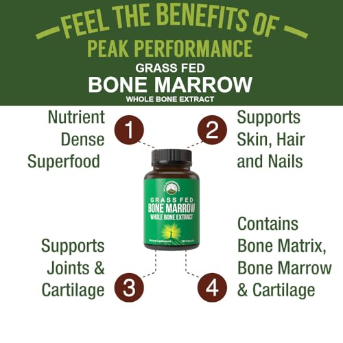 whole food multivitamin for daily health