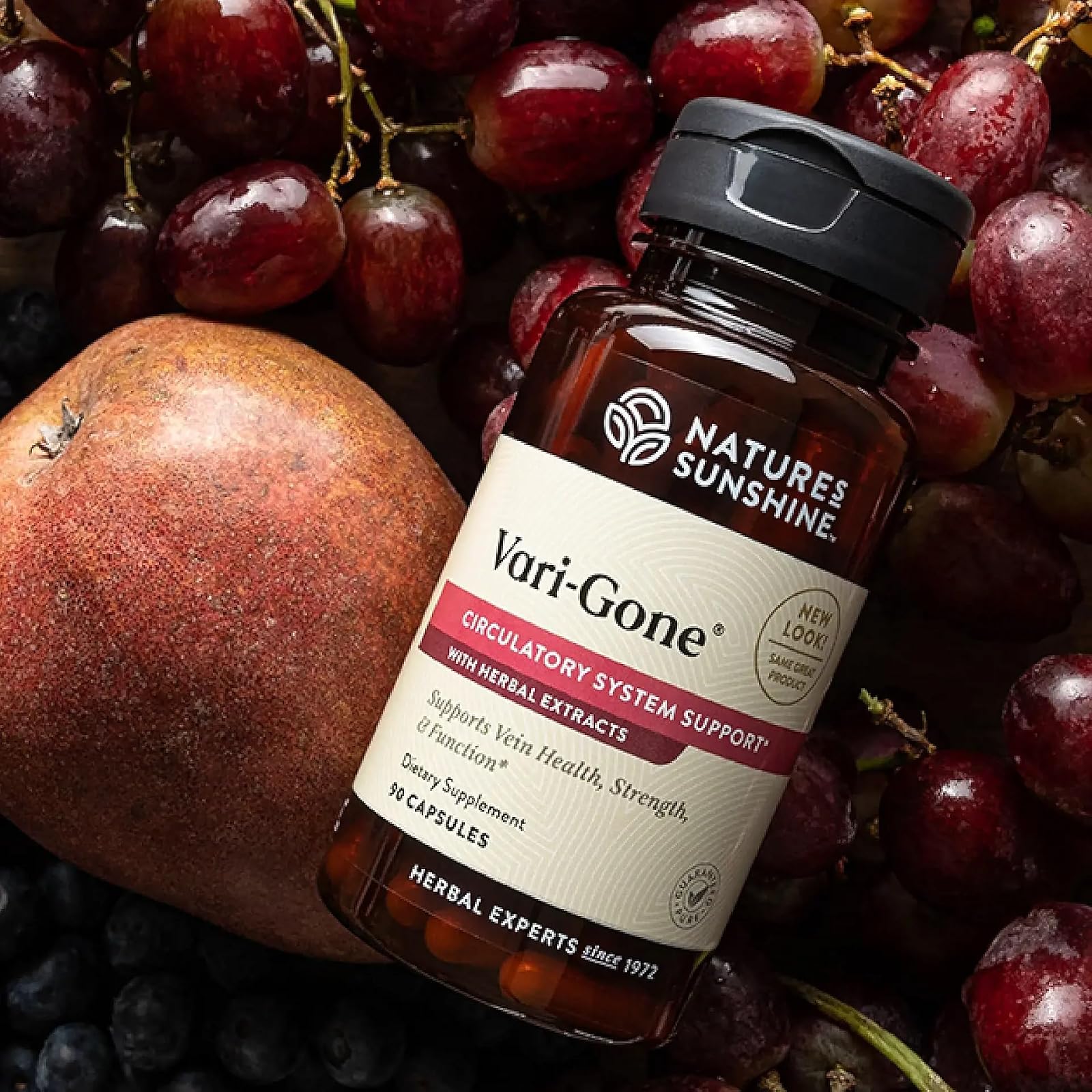 whole food multivitamin for daily health