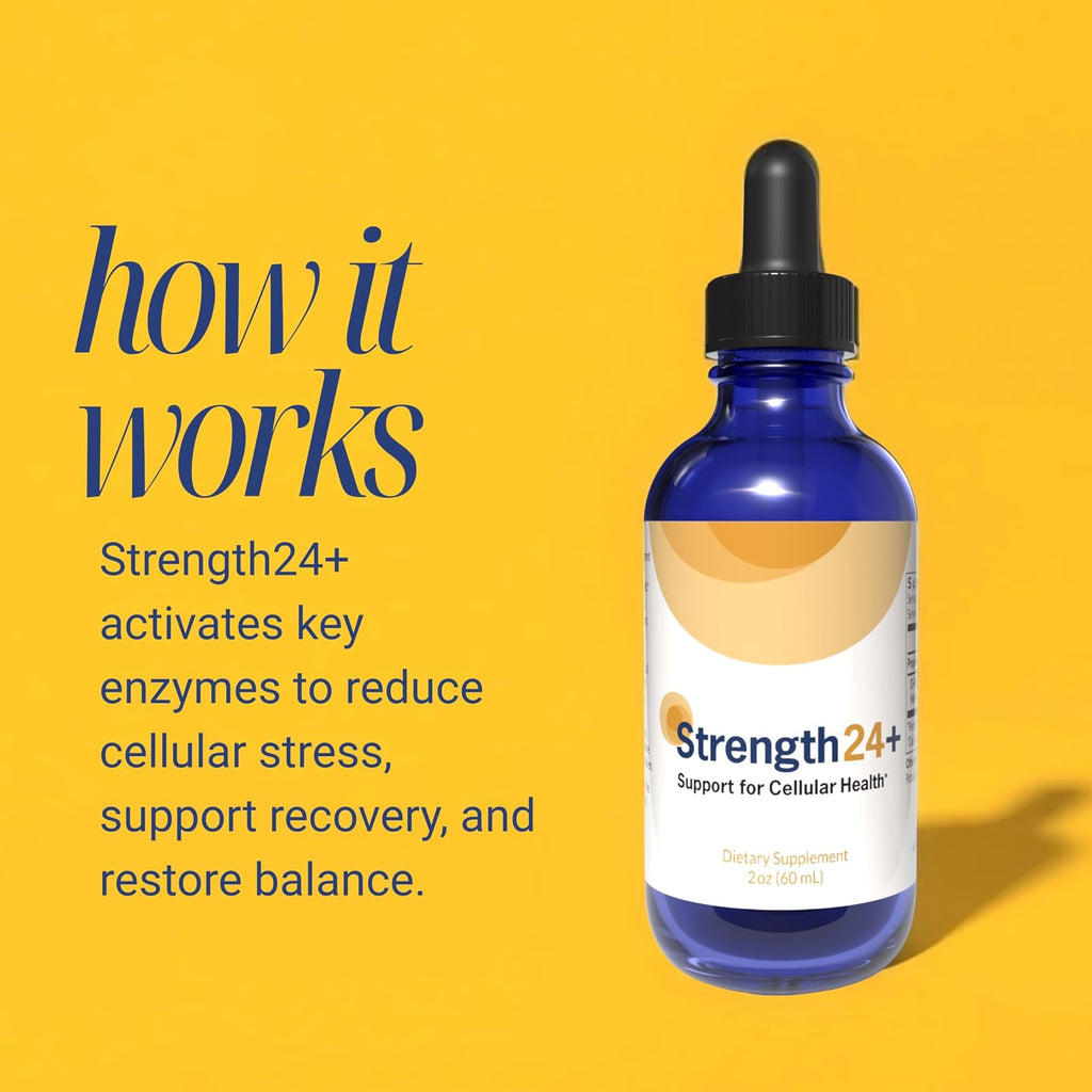 whole food multivitamin for daily health