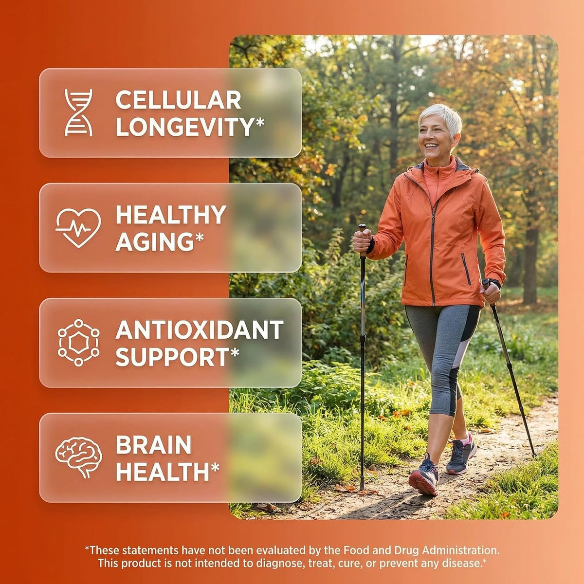 whole food multivitamin for daily health