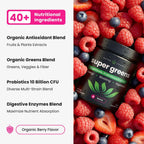 whole food multivitamin for daily health
